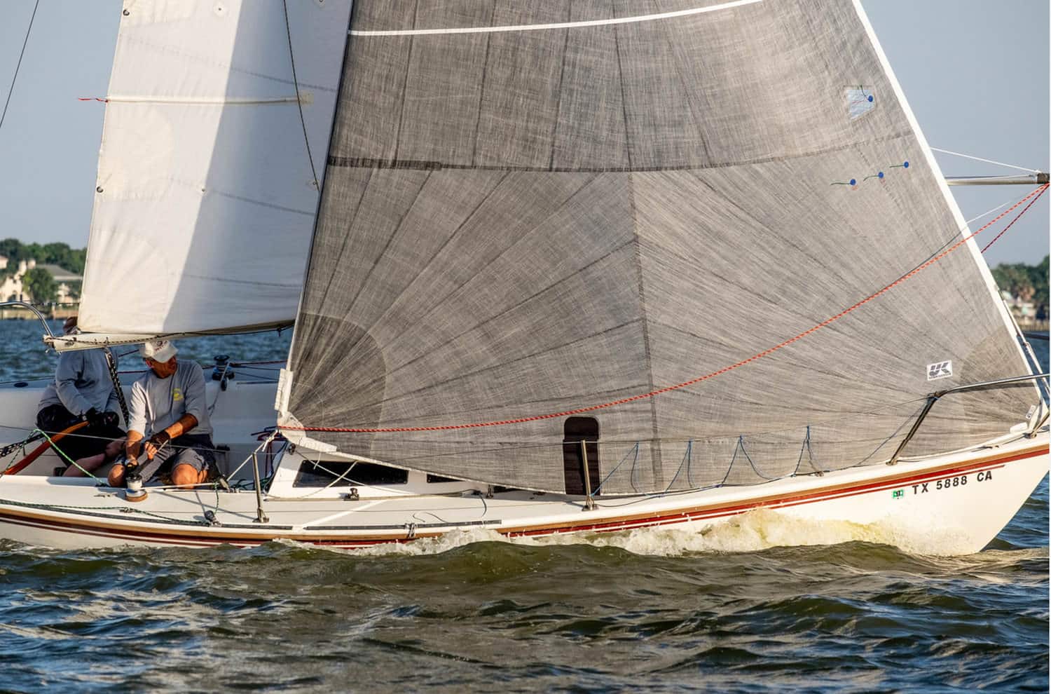 Radial - Racing Genoa - UK Sailmakers